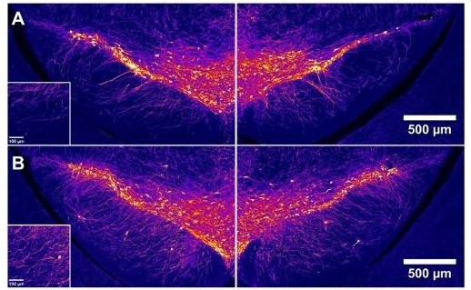 Alec Batts at the AD/PD 2024 Conference in Lisbon, Portugal