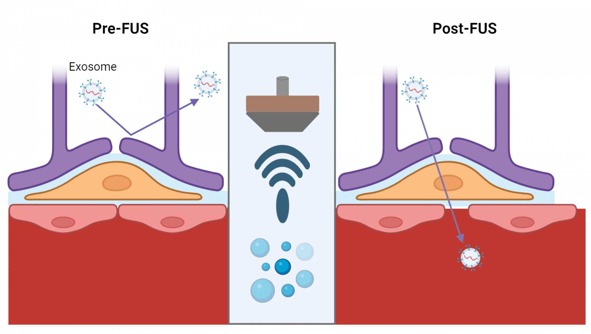 Fotis Tsitsos will present groundbreaking research at ASA in Ottawa